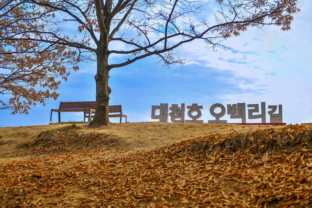 새벽길을 달려 대청호반의 쾌청함 속으로