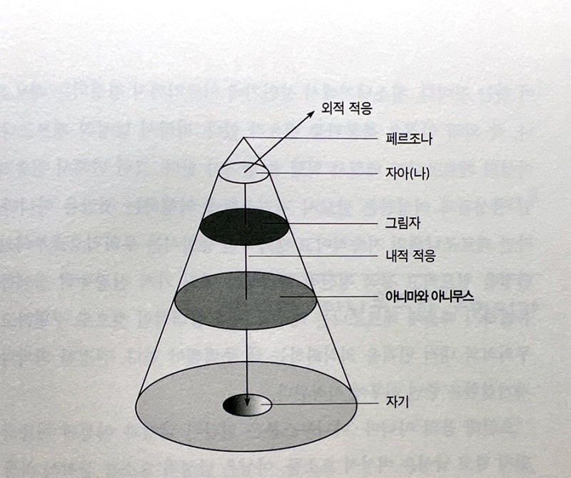 03화 아니마와 아니무스