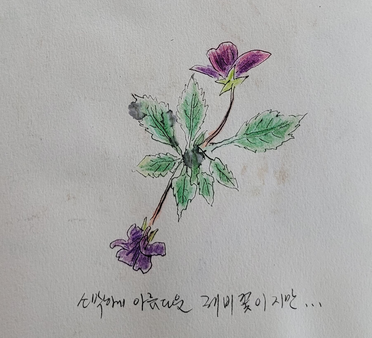 정원 가꾸기 마음 가꾸기 그림일기 19화
