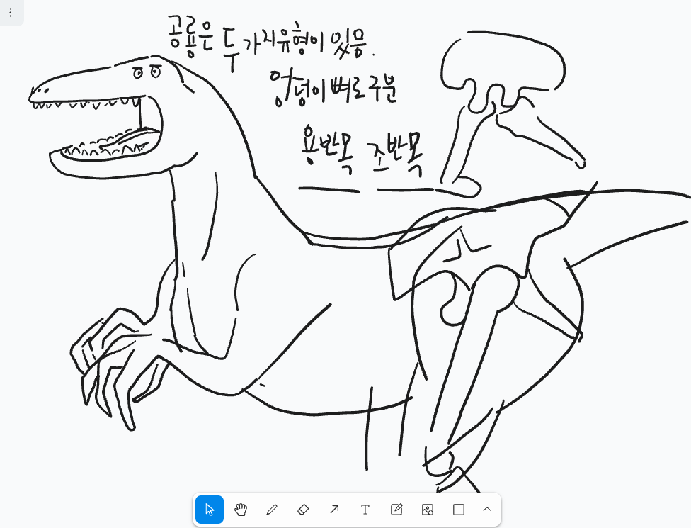 공룡 공부 골반으로 나누는 공룡