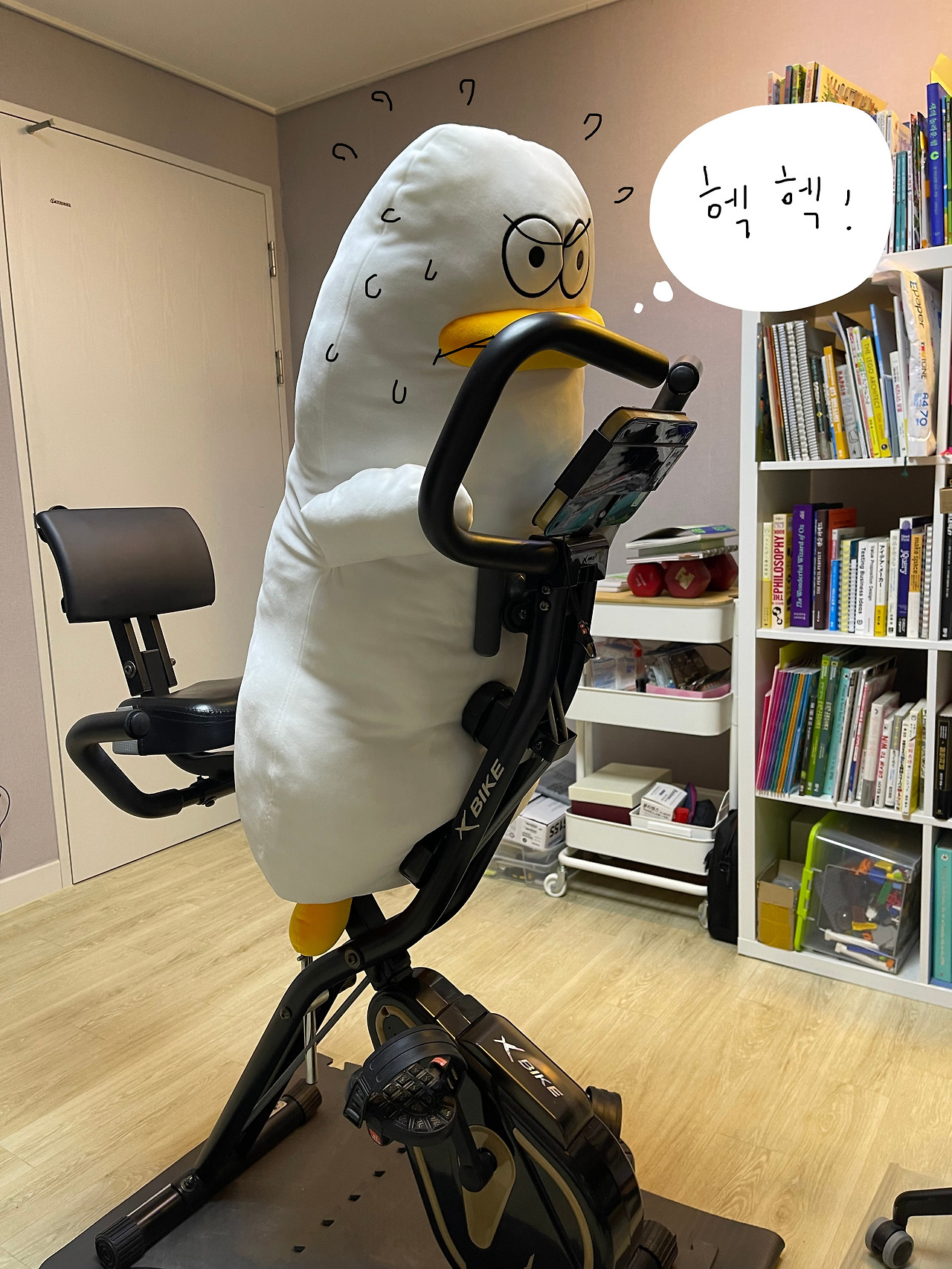 포툰 오리주둥이 월요일