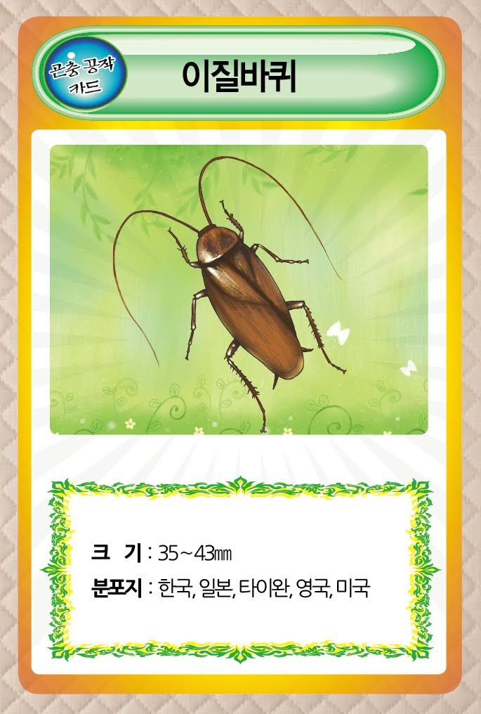 깜짝 곤충종이공작 쇼핑몰