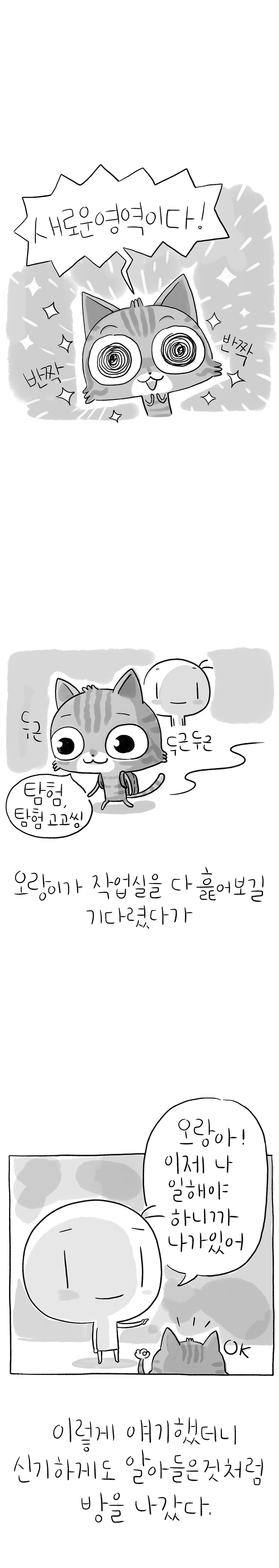 09화 9화