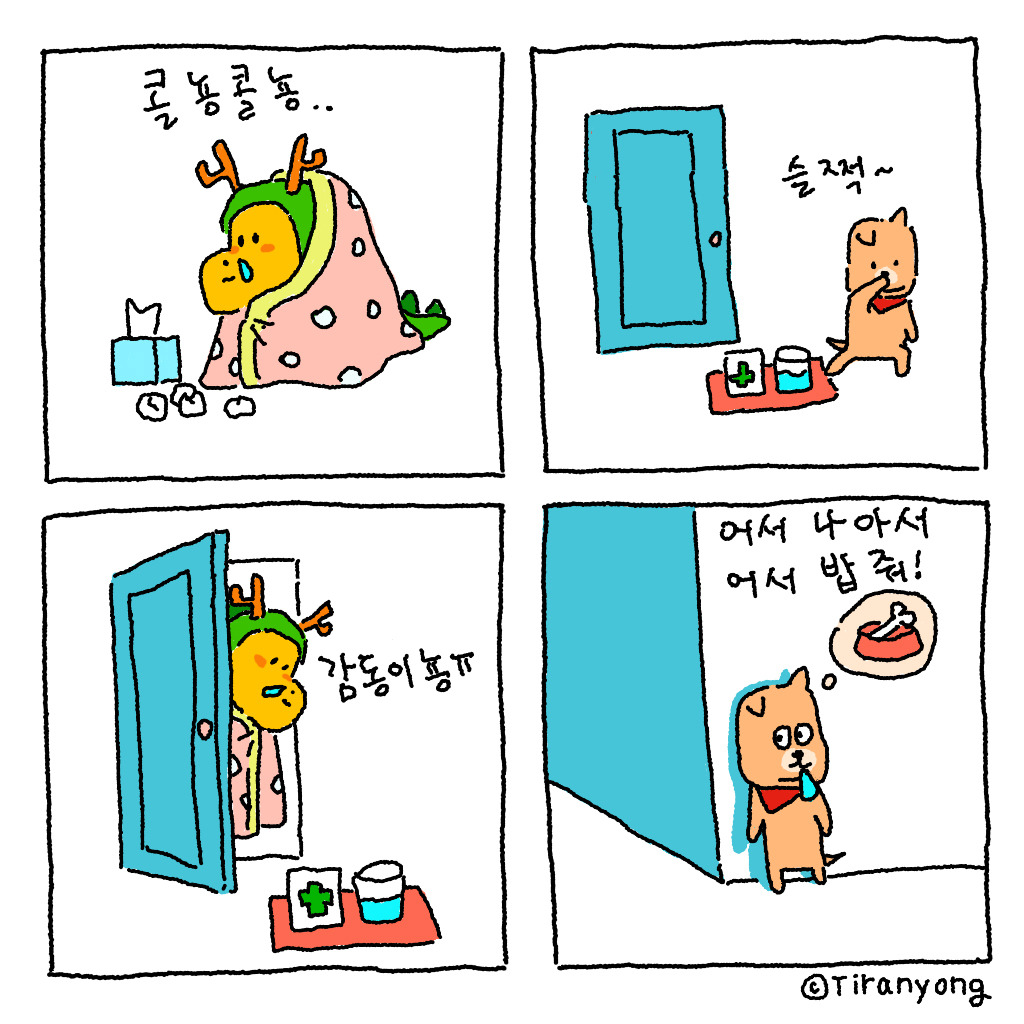 005 감기