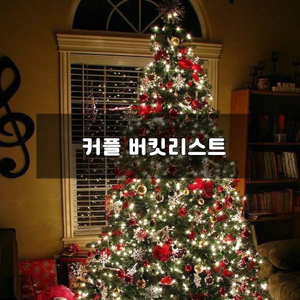 커플and솔로 버킷리스트 100가지 Feat크리스마스