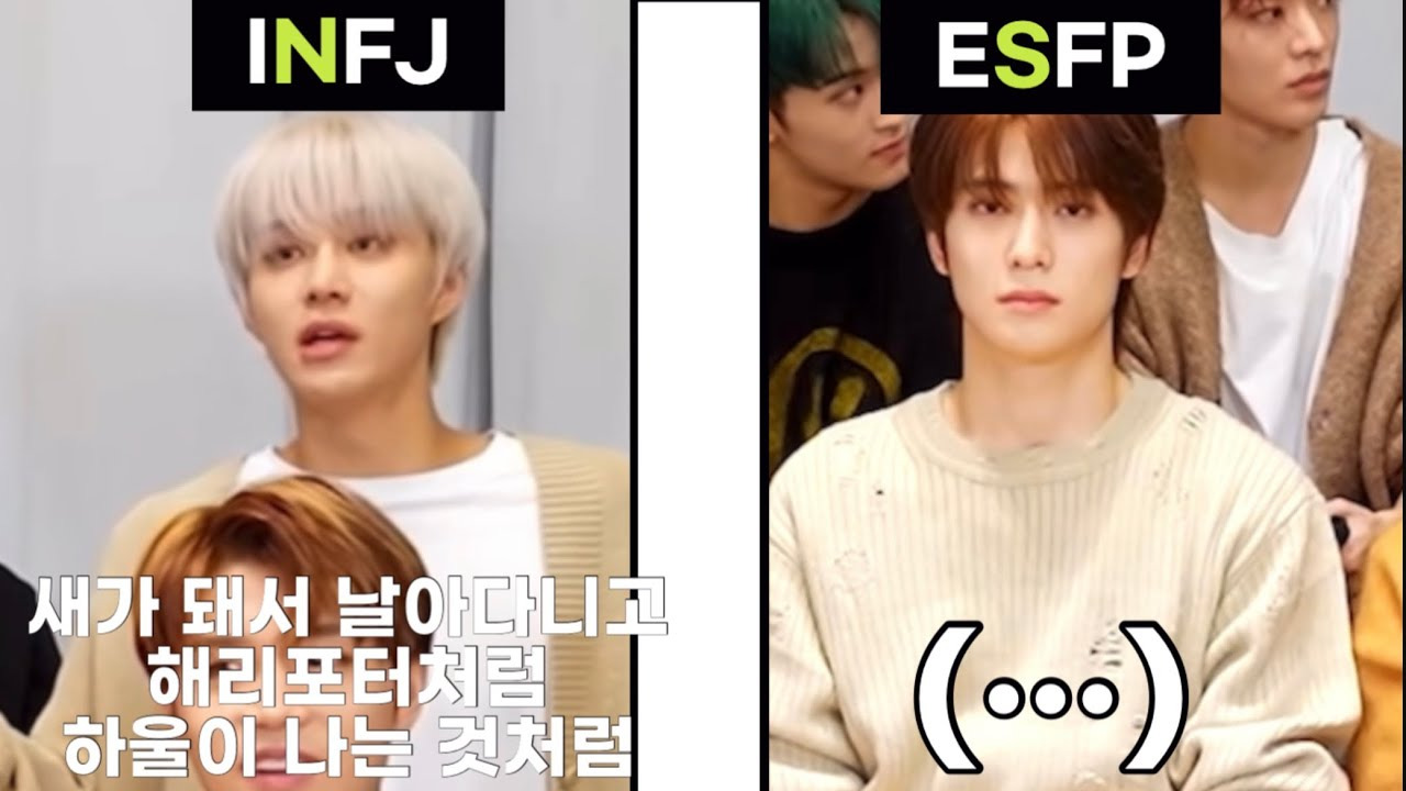 MBTI N S 차이 짤 모음