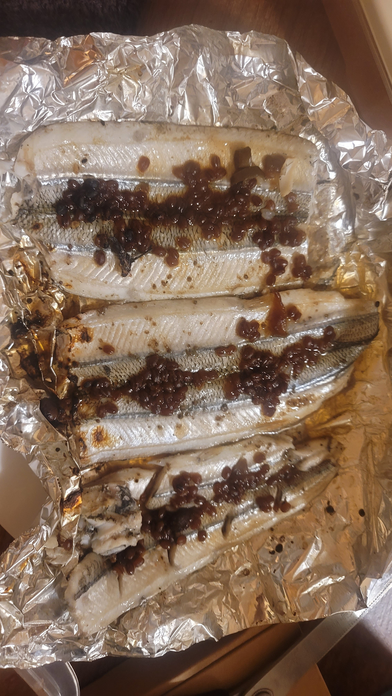 학꽁치의 매력