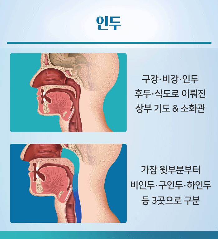 전이율 높아 치명적인 ‘인두암