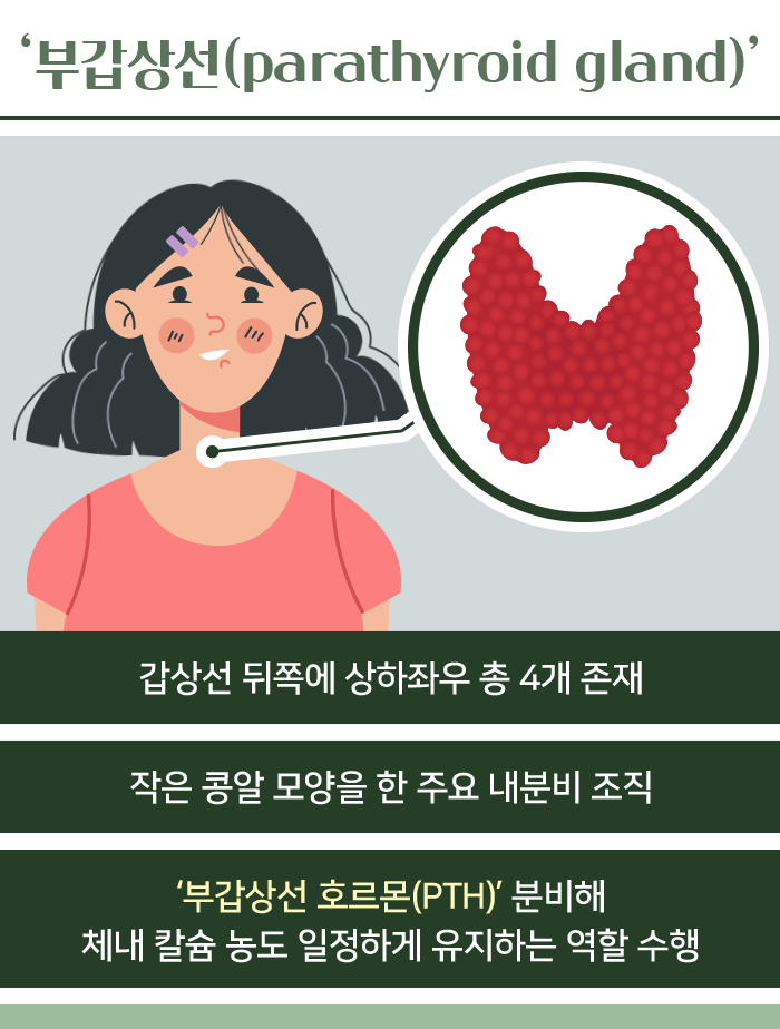갑상선암 수술 후 따라온