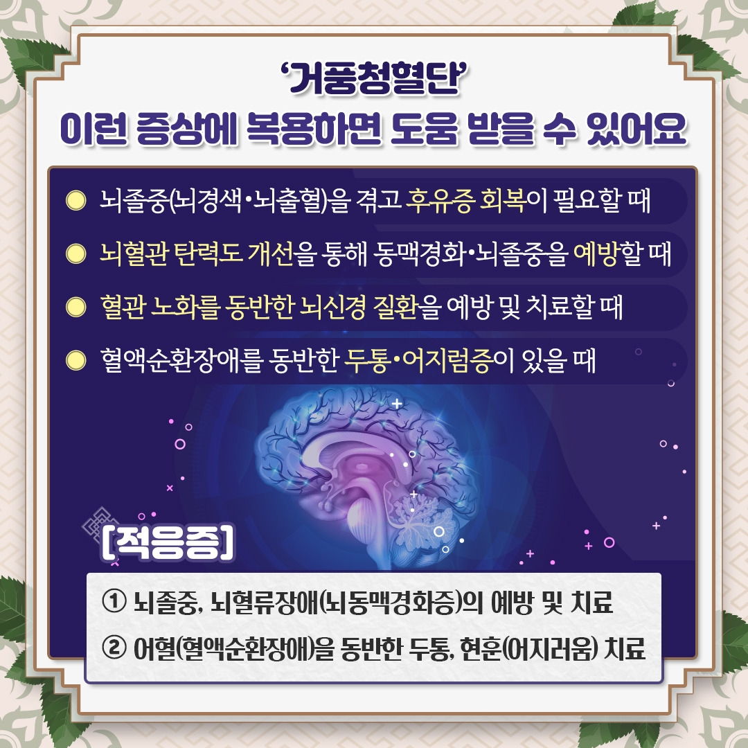 뇌졸중 예방 And 치료 한약