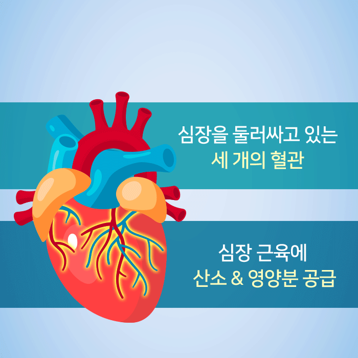 심장 혈관 ‘스텐트 시술
