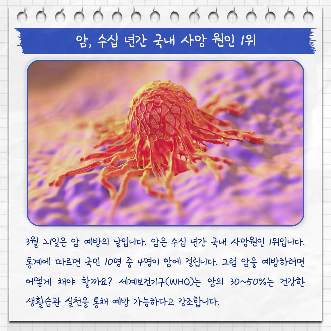 암 예방법 알고 있다면서 왜 그래요