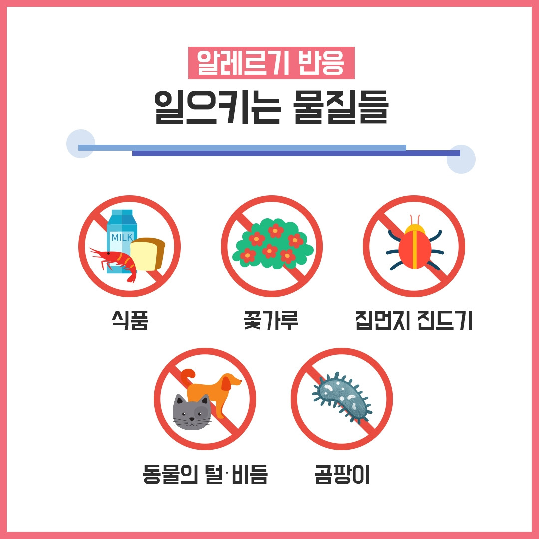 알레르기 질환 주요 원인 ‘식품