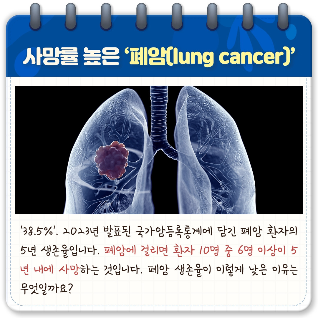 생존율 12 ‘원격 전이성 폐암