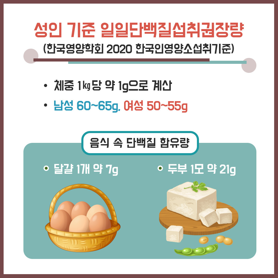 3대 영양소 중 하나 단백질