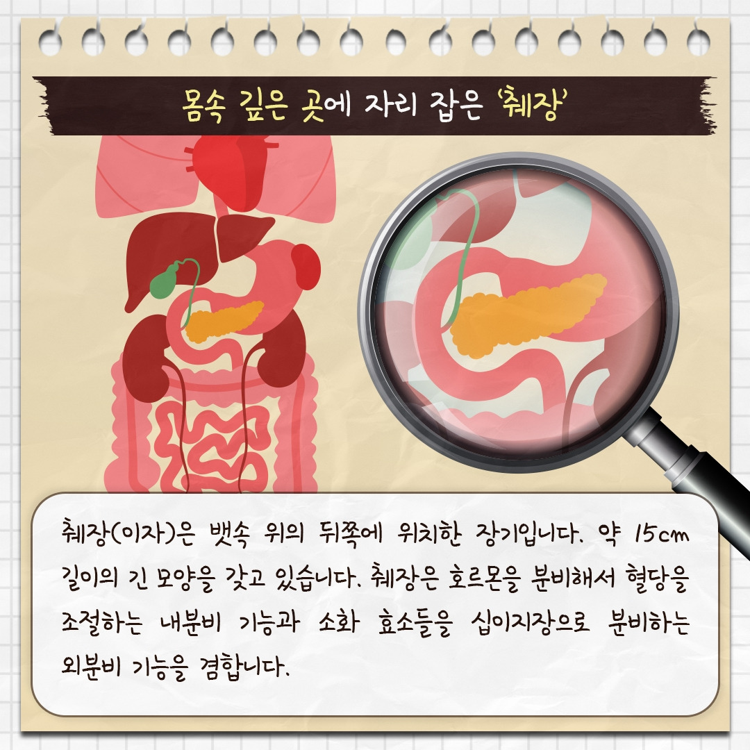 갑자기 극심한 명치‧상복부 통증
