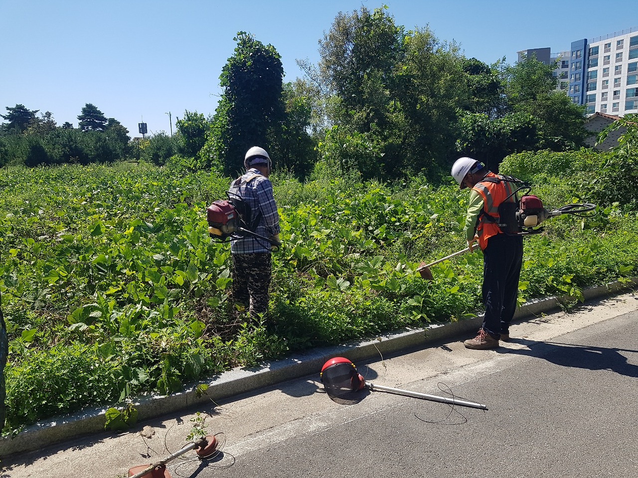 양양 강현면 레님 전원주택 착공 0919
