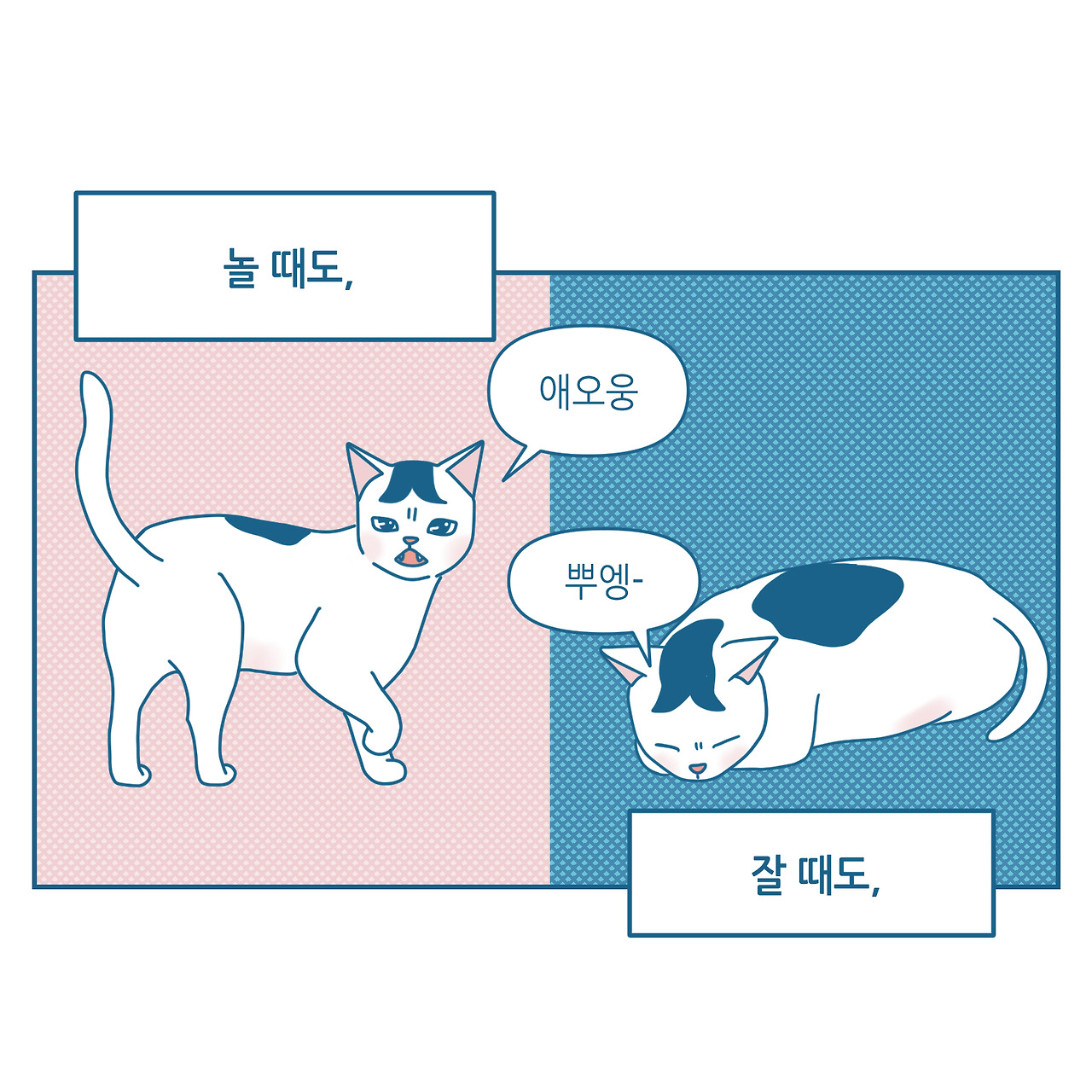 인상 쓰는 고양이