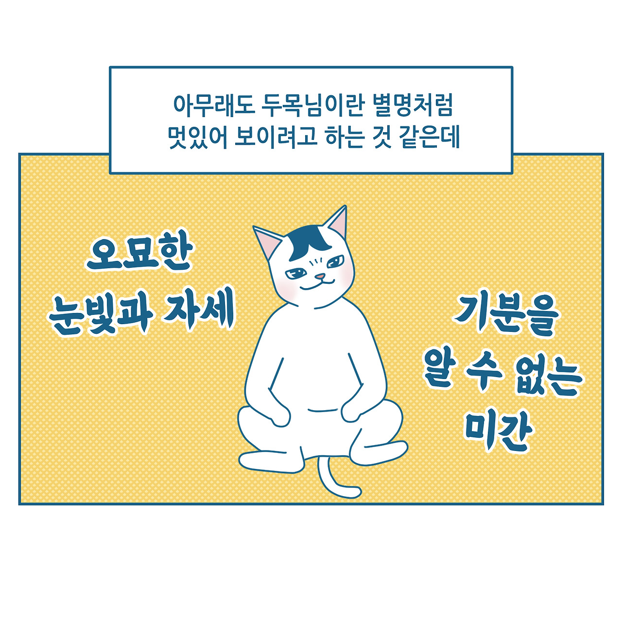 인상 쓰는 고양이