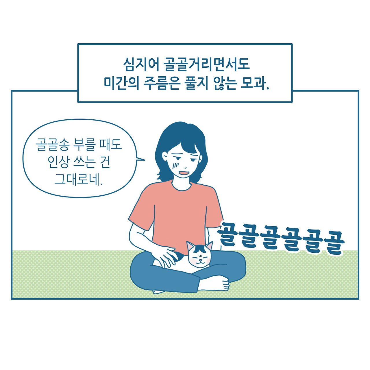 인상 쓰는 고양이