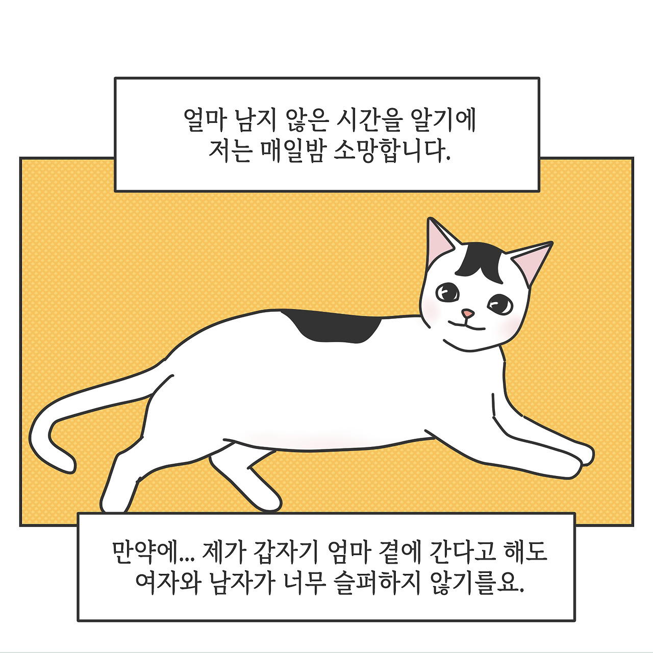 고양이는 오늘도 바쁘다 후기