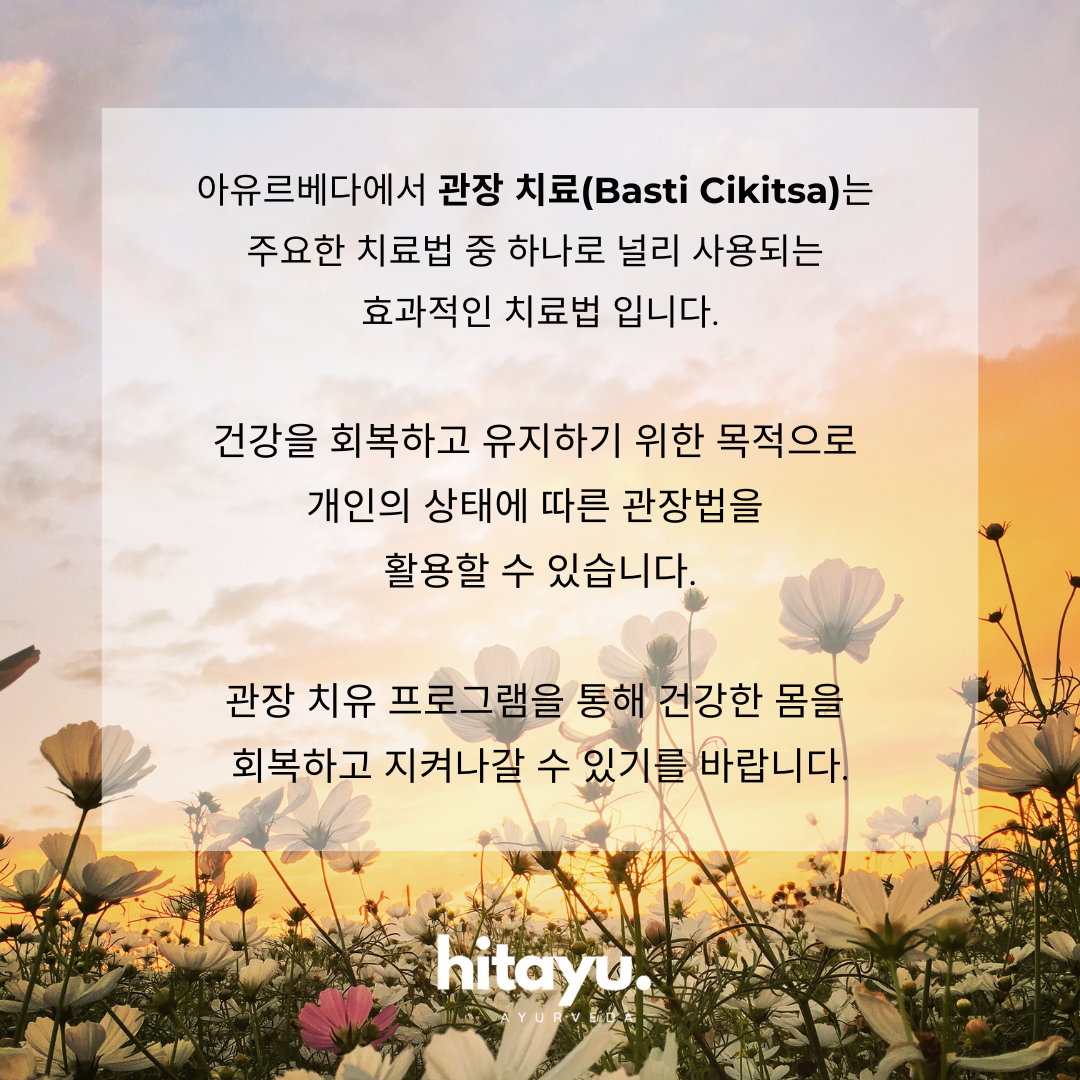 아유르베다 11 맞춤 관장 치유 프로그램