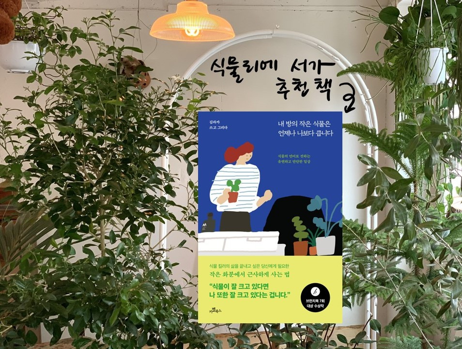 12화 내 방의 작은 식물은 언제나 나보다 큽니다