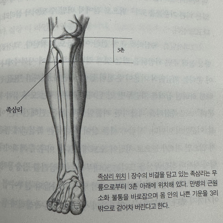 위 건강을 위한 마사지 지압점