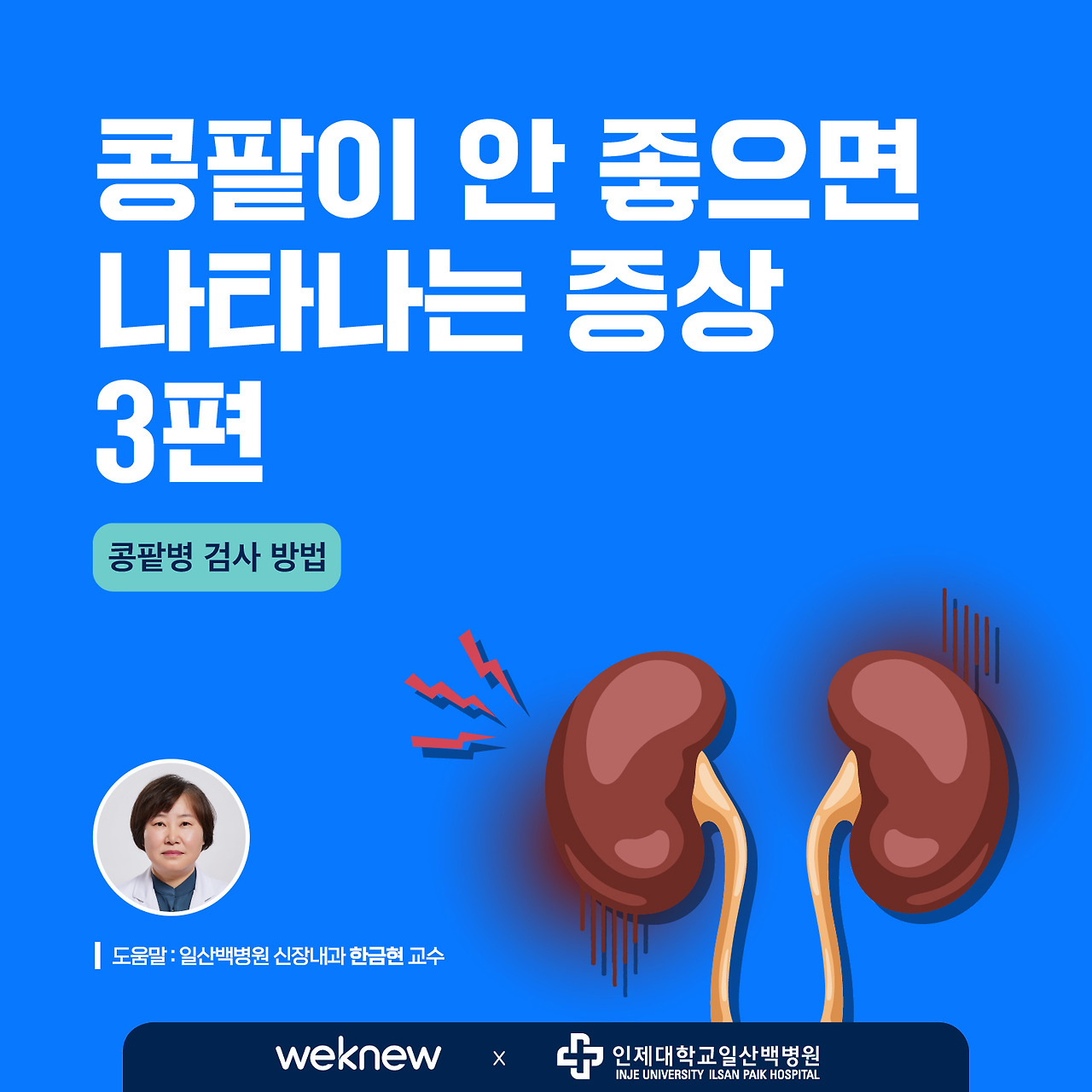 신장콩팥이 나빠지면 어떤 증상이 나타날까