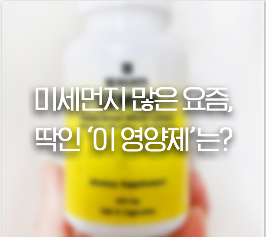 직접 먹어보고 추천하는 피부노화 방지 영양제 5종