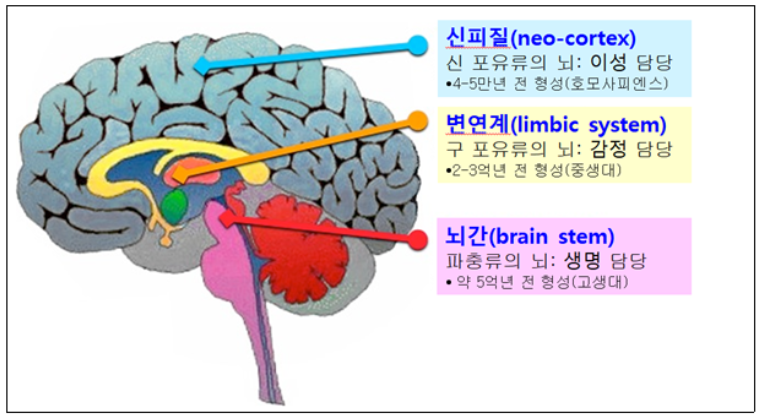 필름이 끊기면 개가 되는 별난 침팬지
