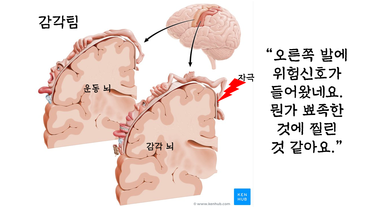 통증 현대인의 치명적인 감정