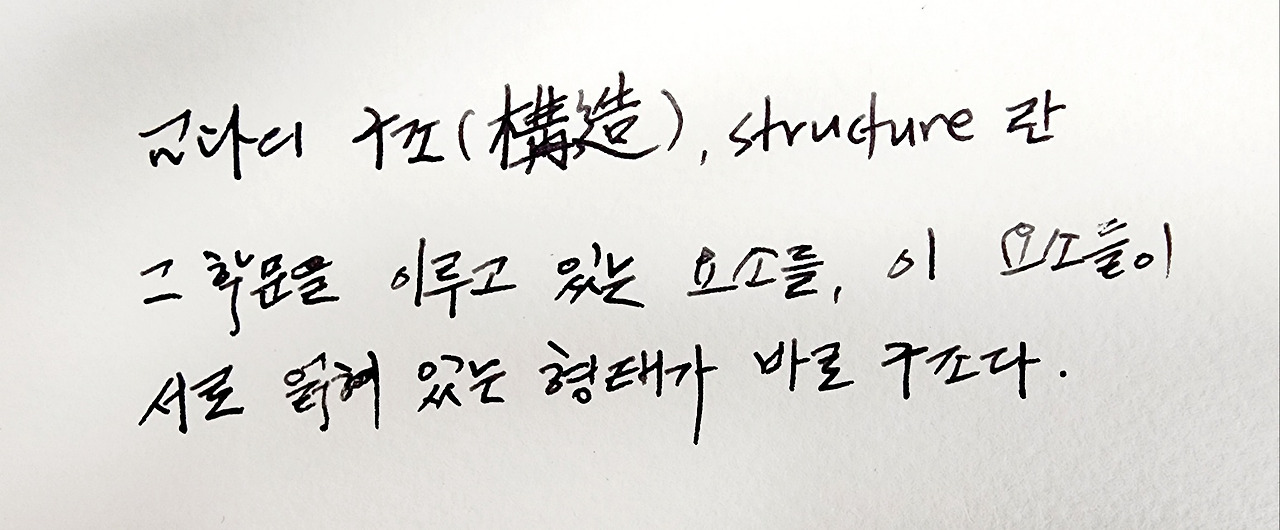 브루너bruner 교육의 과정