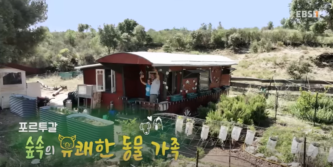 숲이 그린 집을 산책하다⑧ 포르투갈 카스텔루 브랑쿠