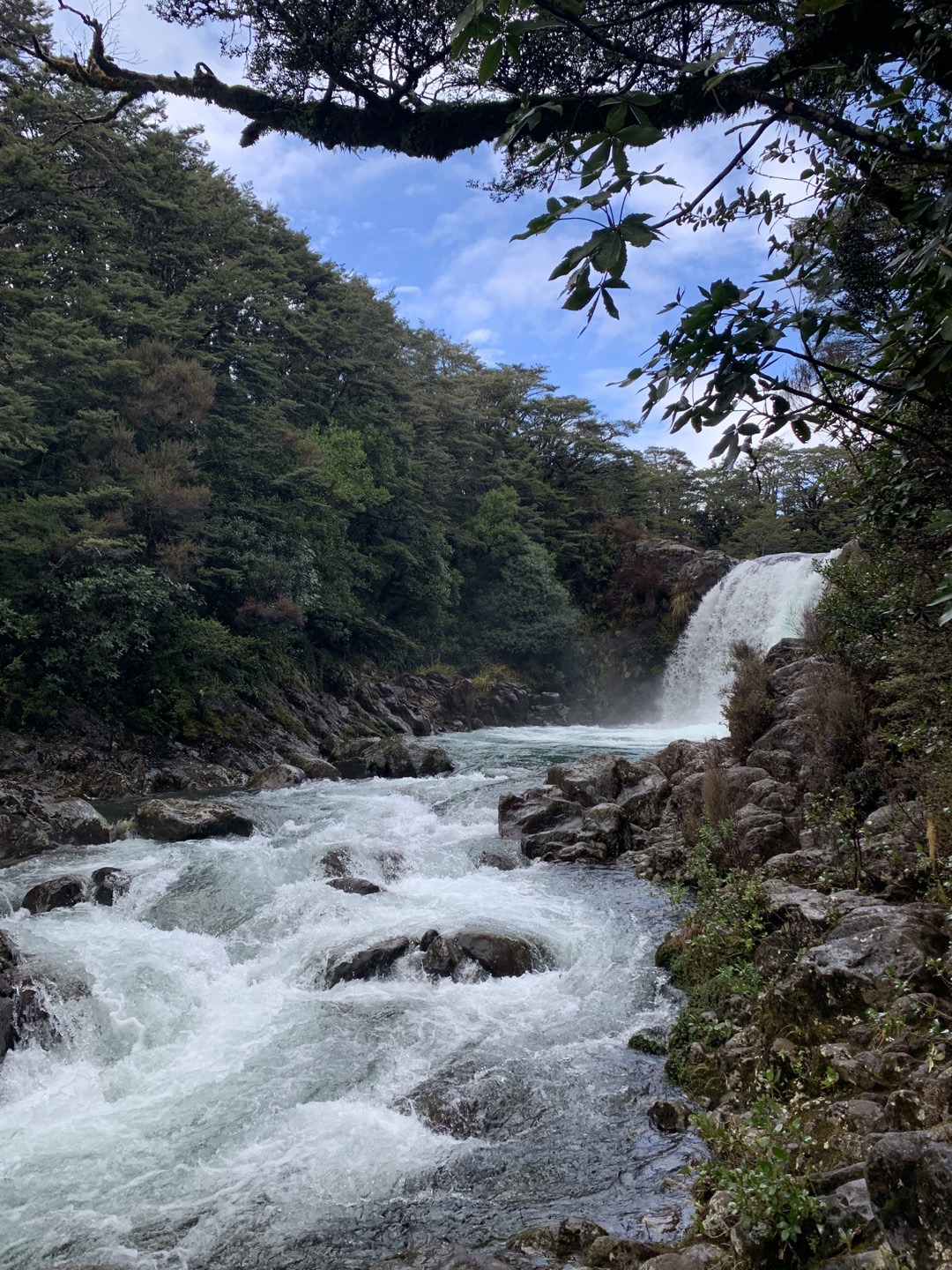 워케이션 In 통가리로 국립공원 Tongariro7