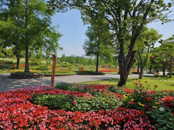 순천만국가정원 여름꽃들이 춤추는 화려한 파티
