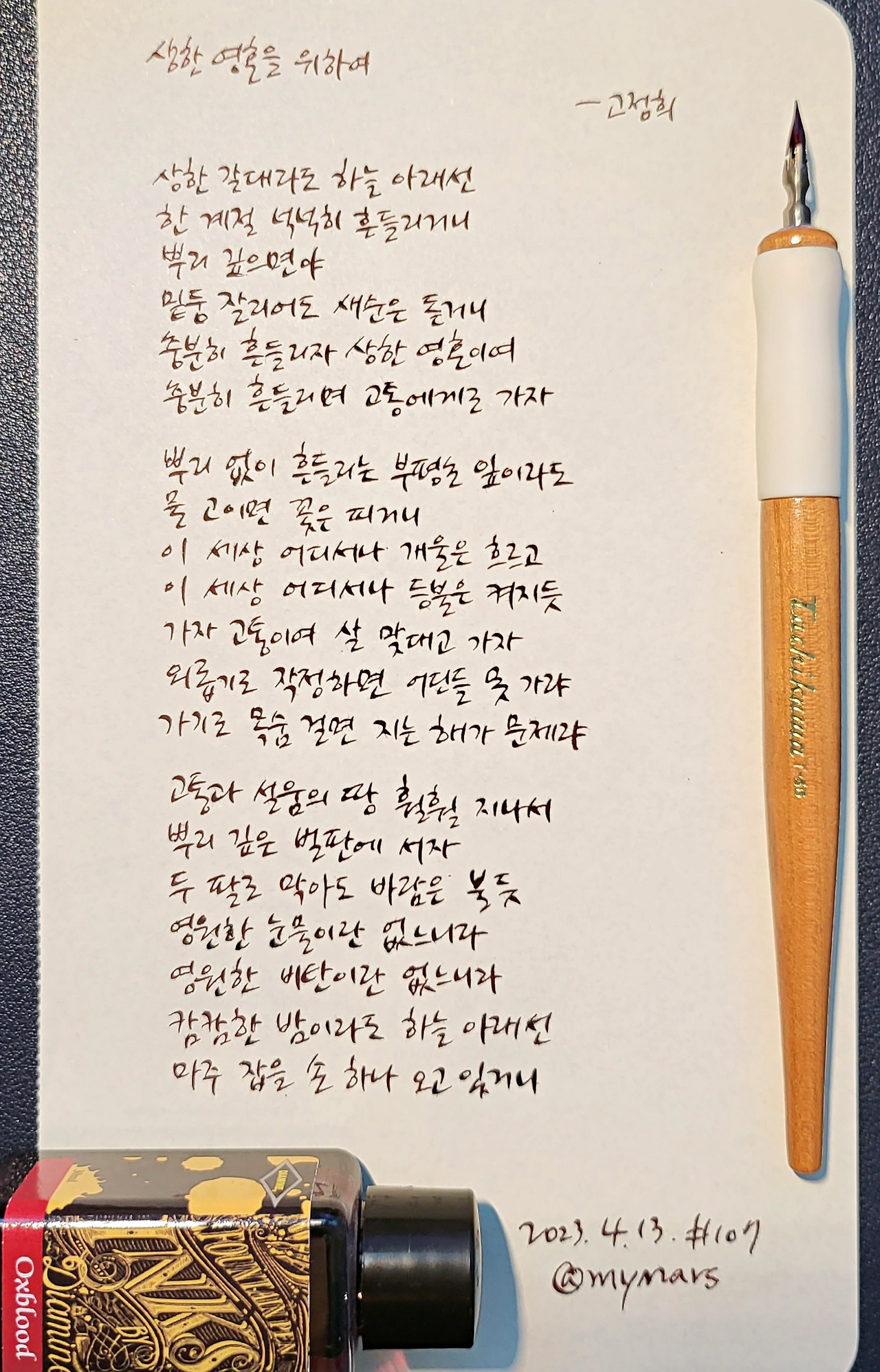 상한 영혼을 위하여 고정희