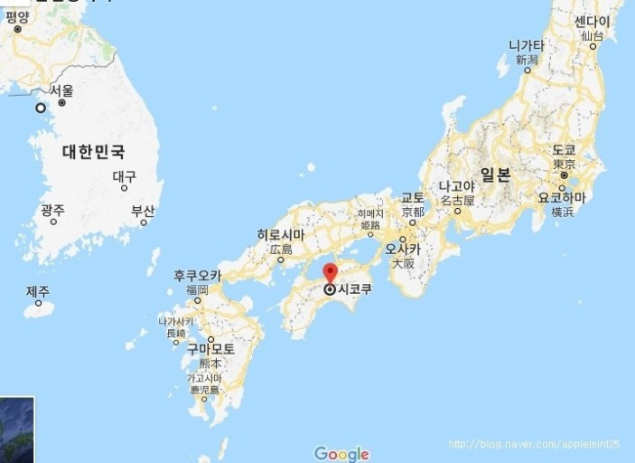 마쓰야마 자전거 투어 1
