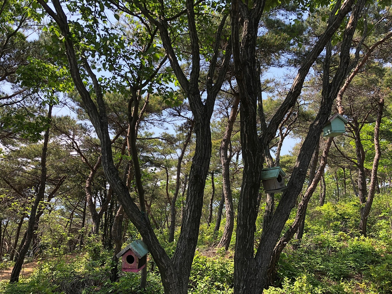 경남고성여행