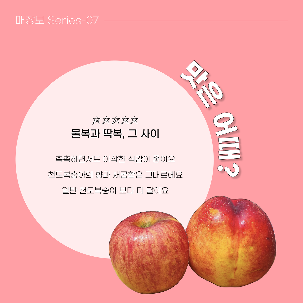 왕천도복숭아