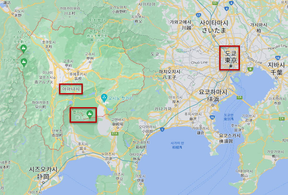 일본 와인 포도 코슈koshu