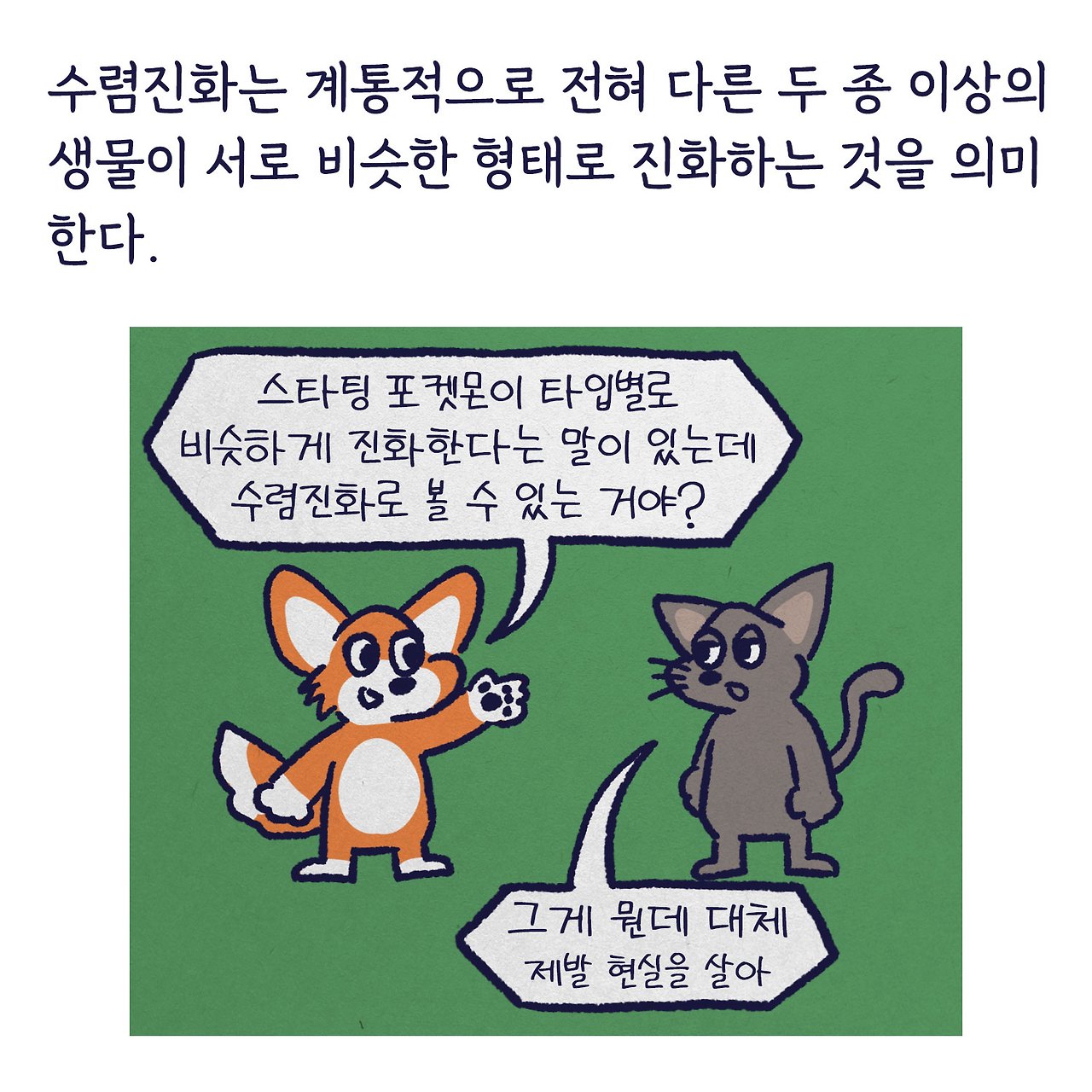 자연이 만든 닮은 꼴 수렴진화 1