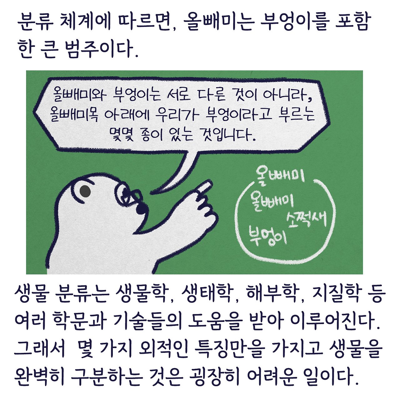 올빼미와 부엉이 구분법