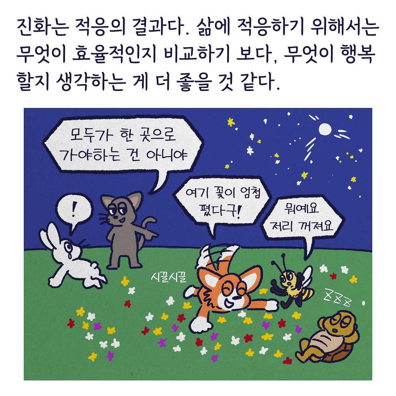 자연이 만든 닮은 꼴 수렴진화 2
