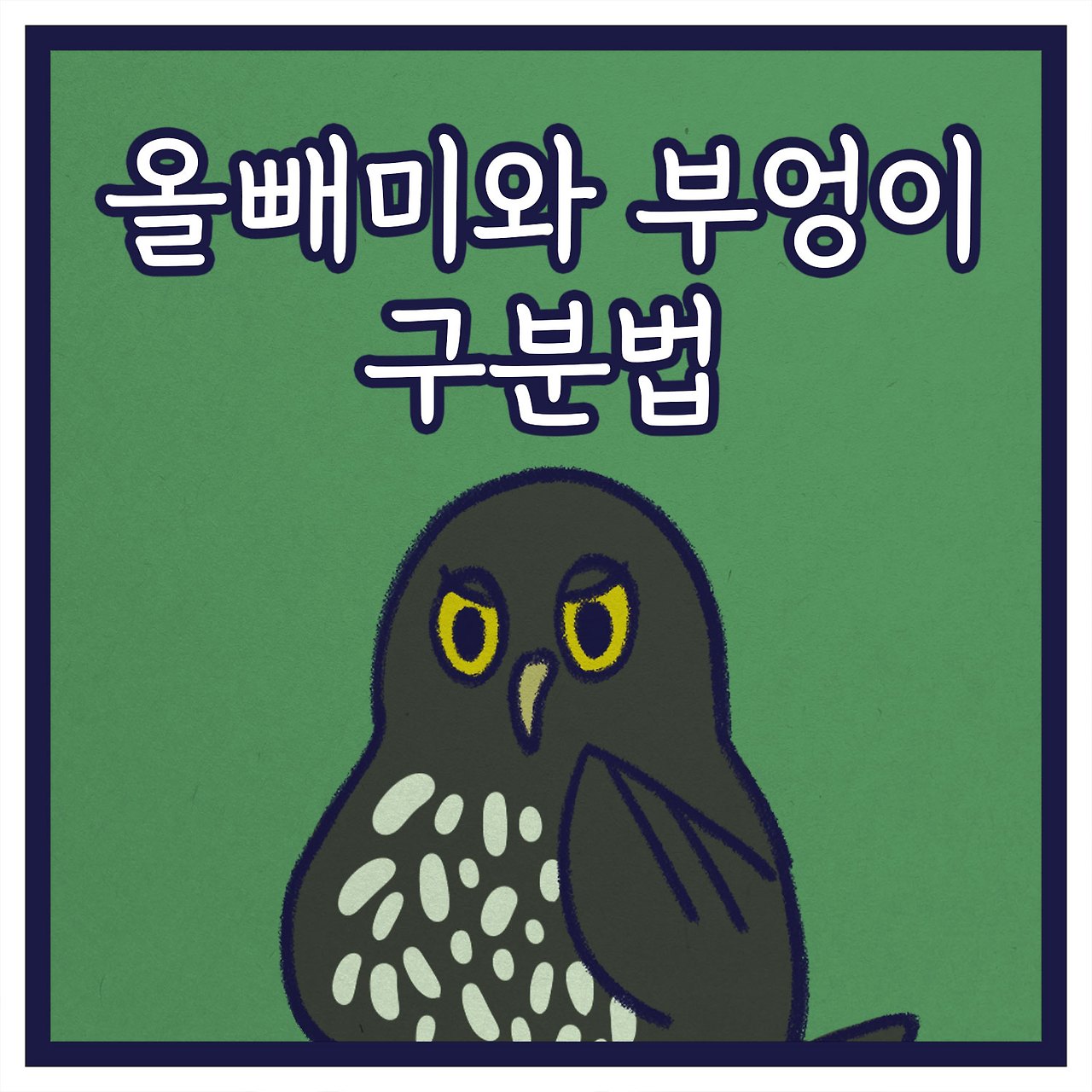 올빼미와 부엉이 구분법