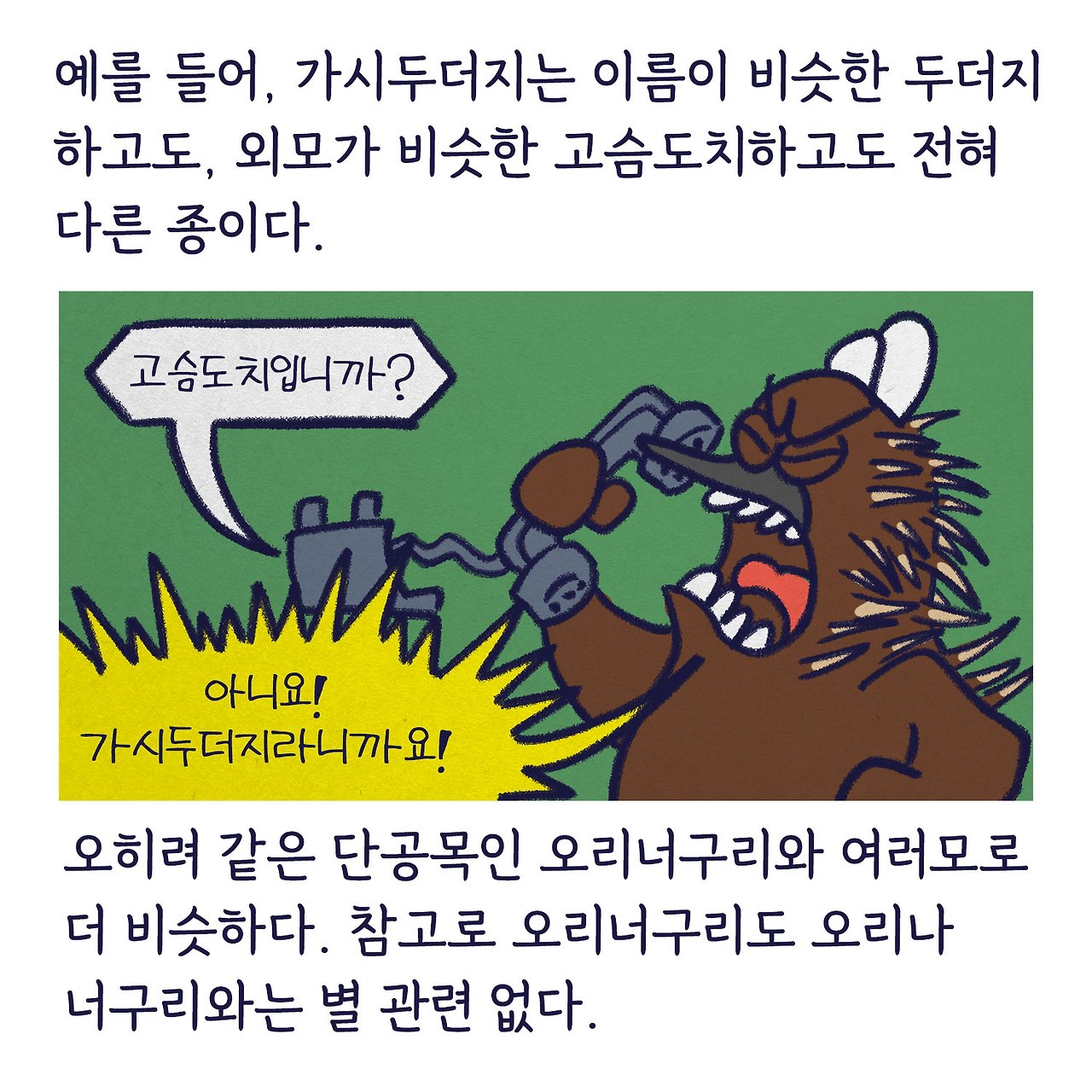 올빼미와 부엉이 구분법