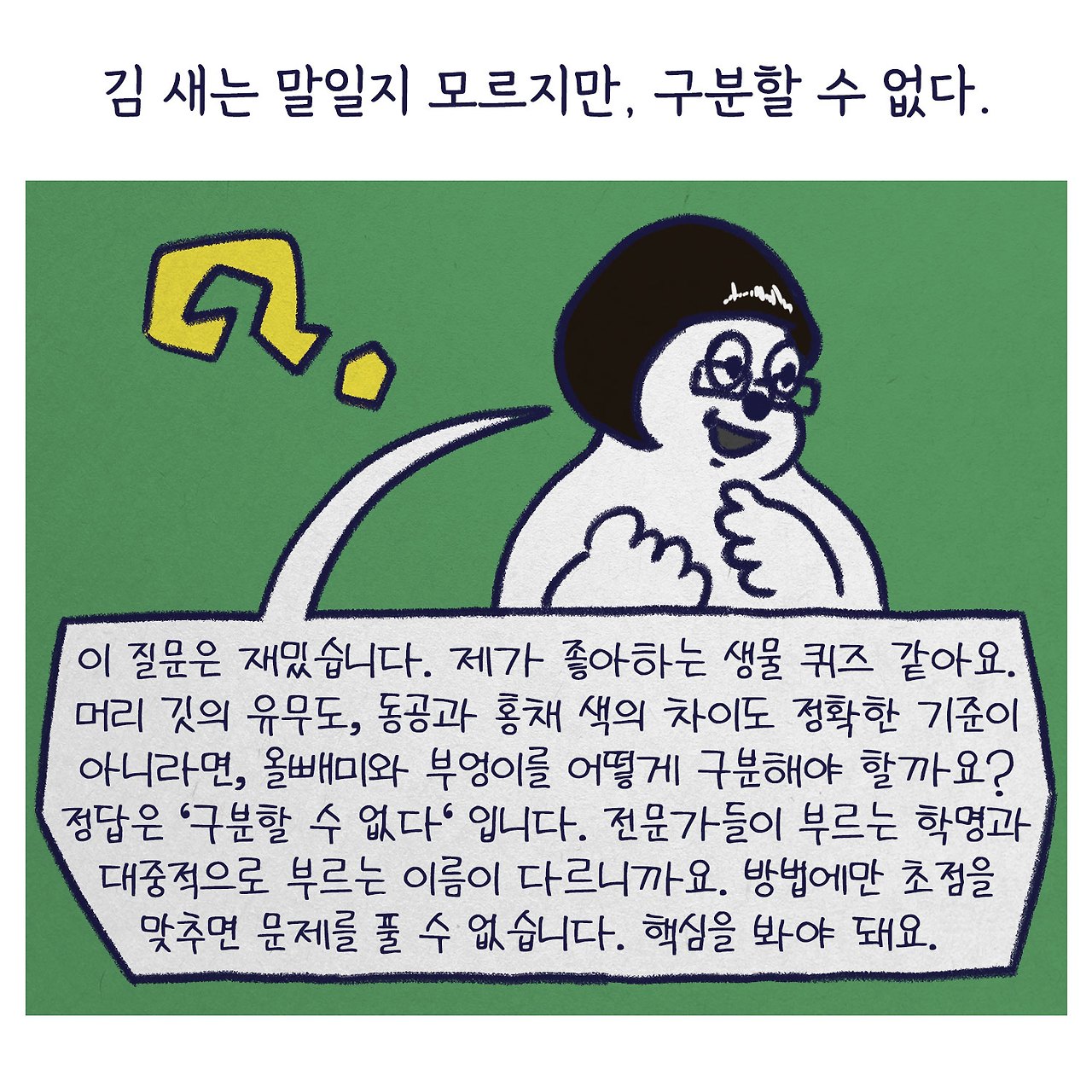 올빼미와 부엉이 구분법