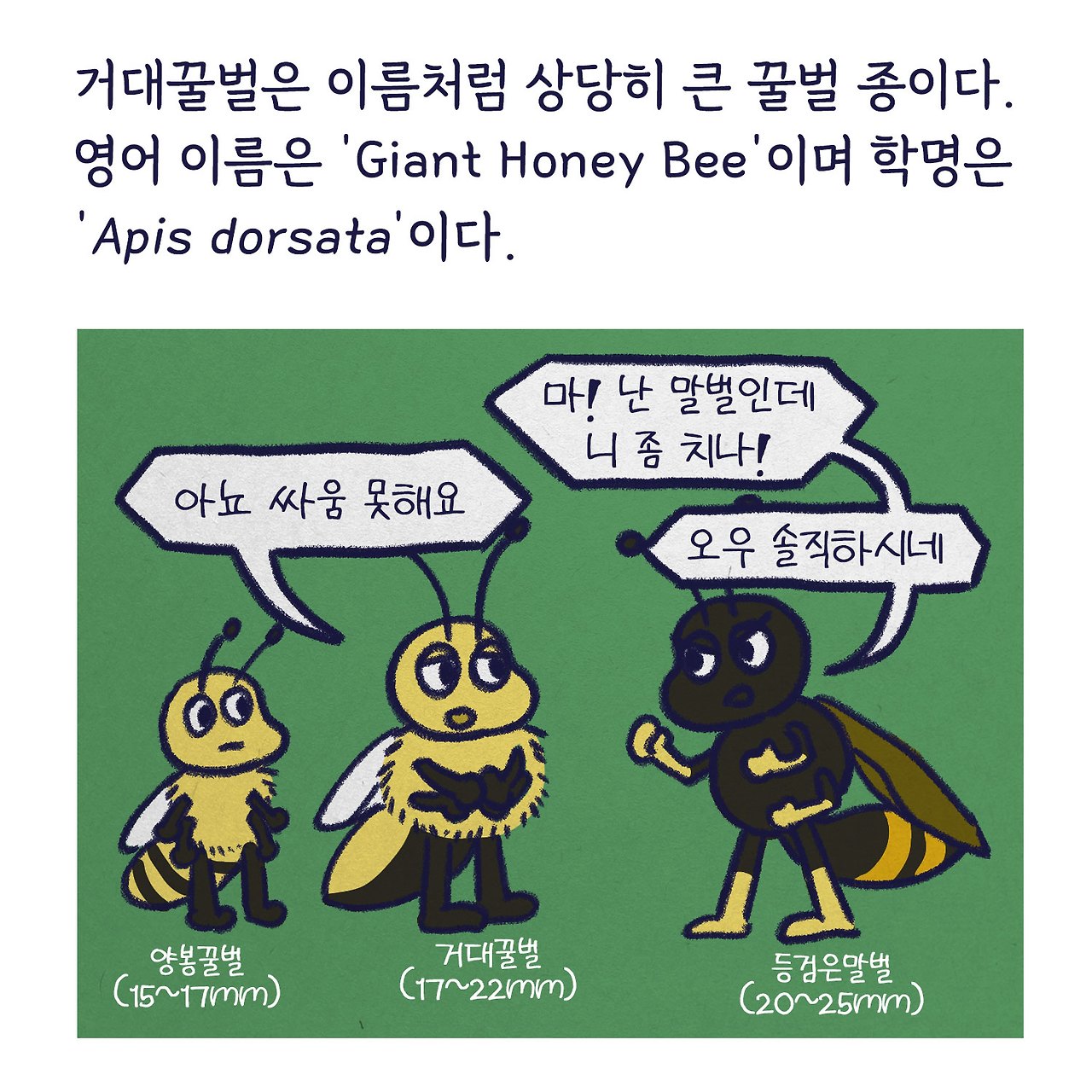 거대꿀벌의 종을 넘어선 대화