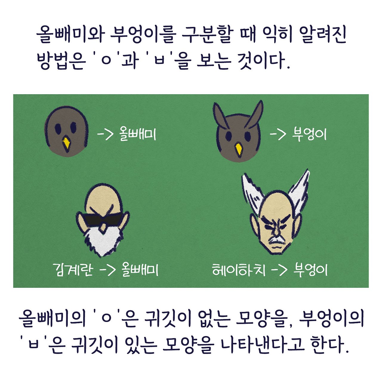 올빼미와 부엉이 구분법