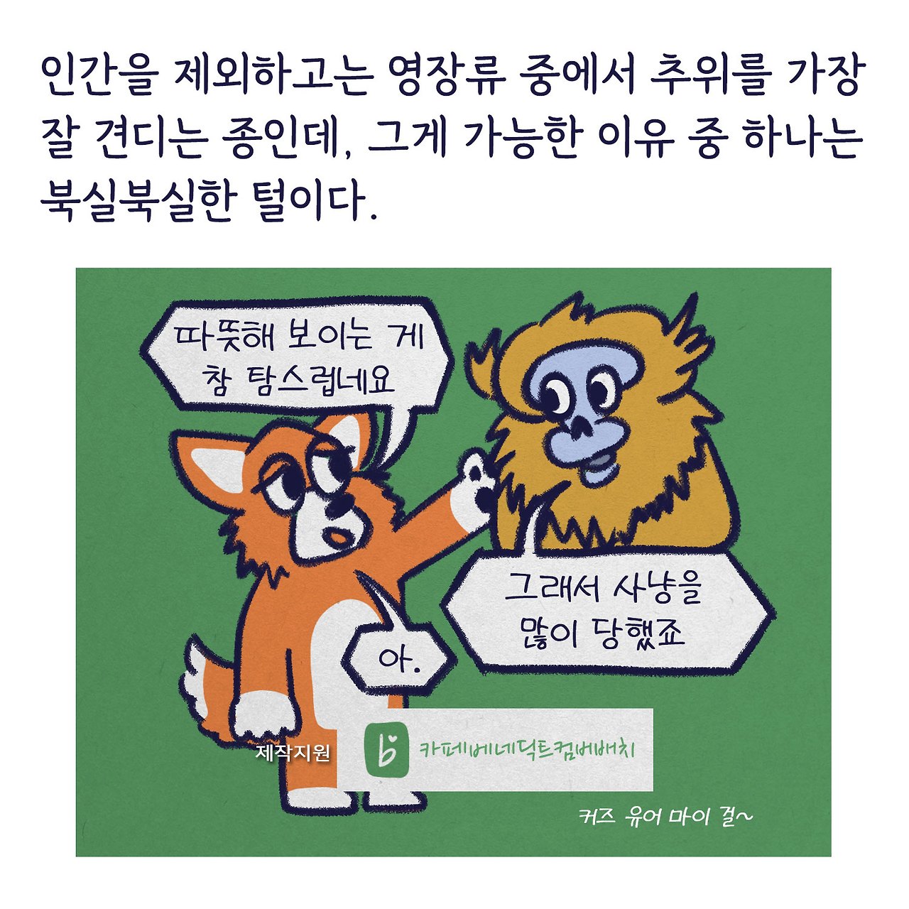황금원숭이의 겨울나기